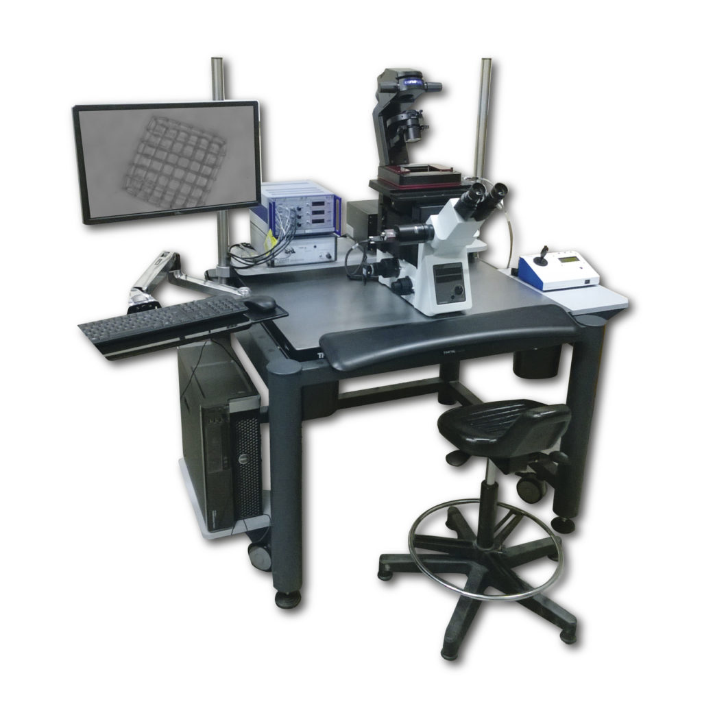 Ultra-high resolution (2 photons) – 3d.FAB