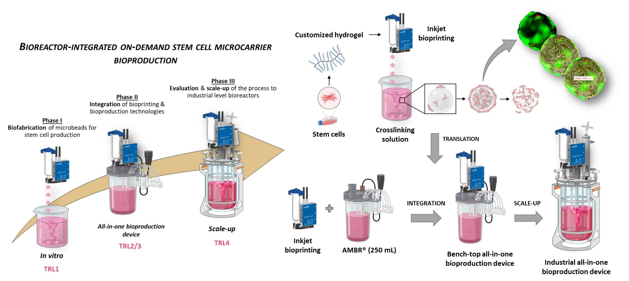 Stemstation – 3d.FAB